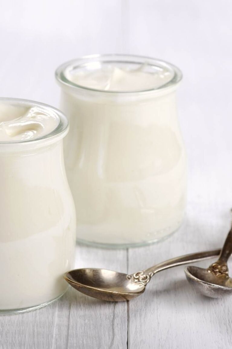 2-Ingredient Homemade Coconut Yogurt (Dairy-Free) | Elizabeth Rider