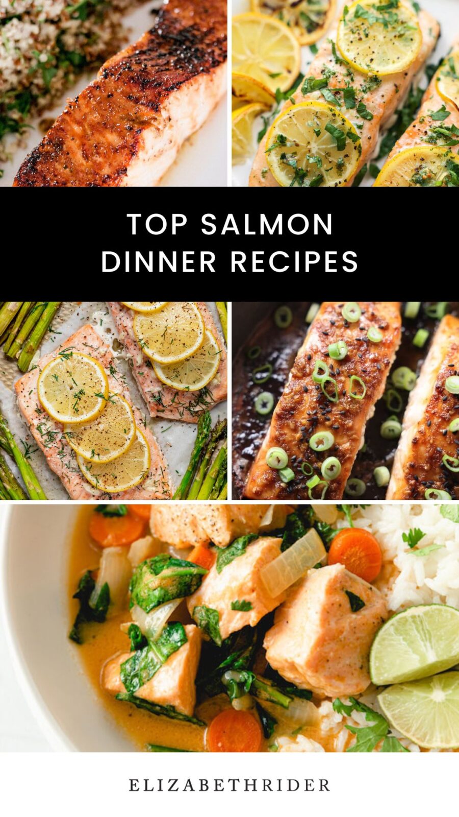 5 Easy Salmon Dinner Recipes for Tonight | Elizabeth Rider